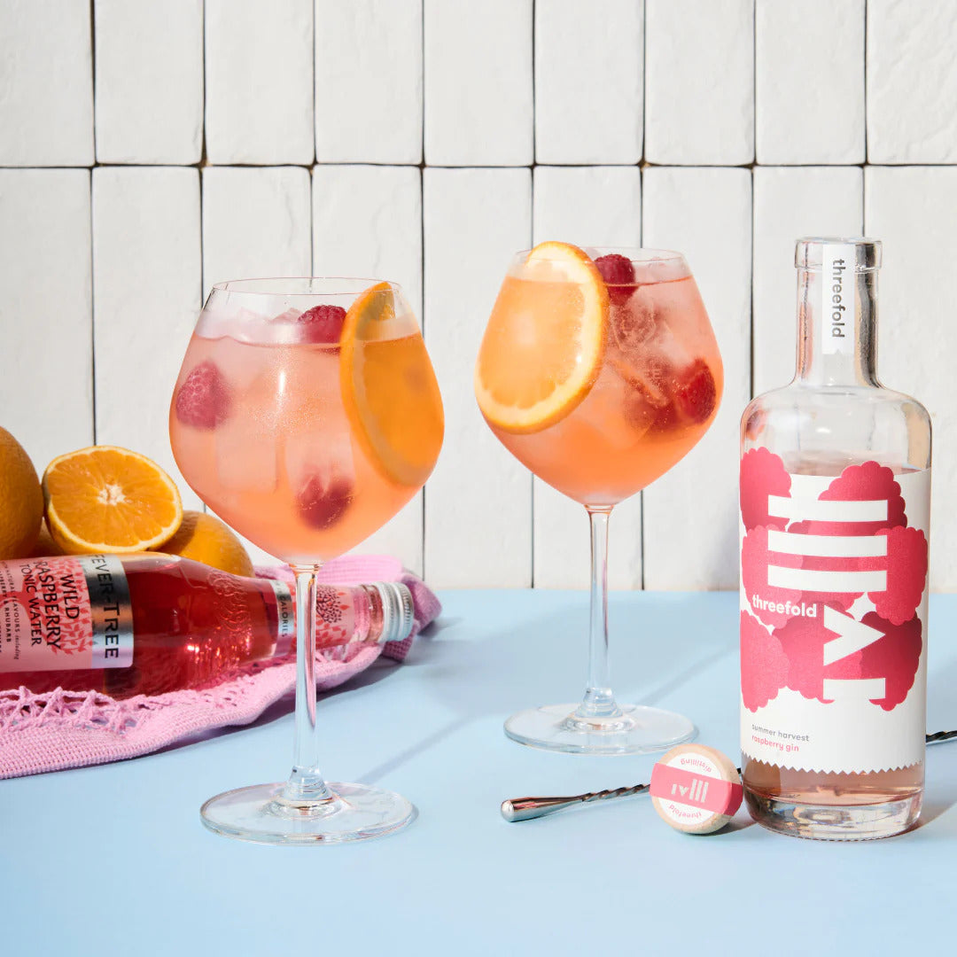 Raspberry Gin Spritz Recipe – Threefold Distilling